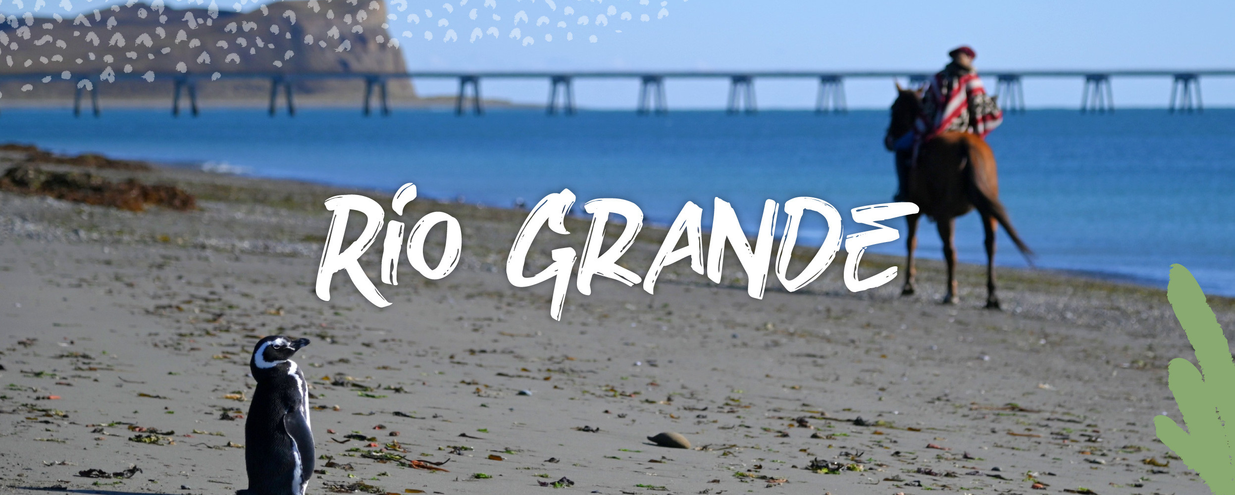 Río Grande | Fin del Mundo - Tierra del Fuego, Ushuaia, Antartida ...